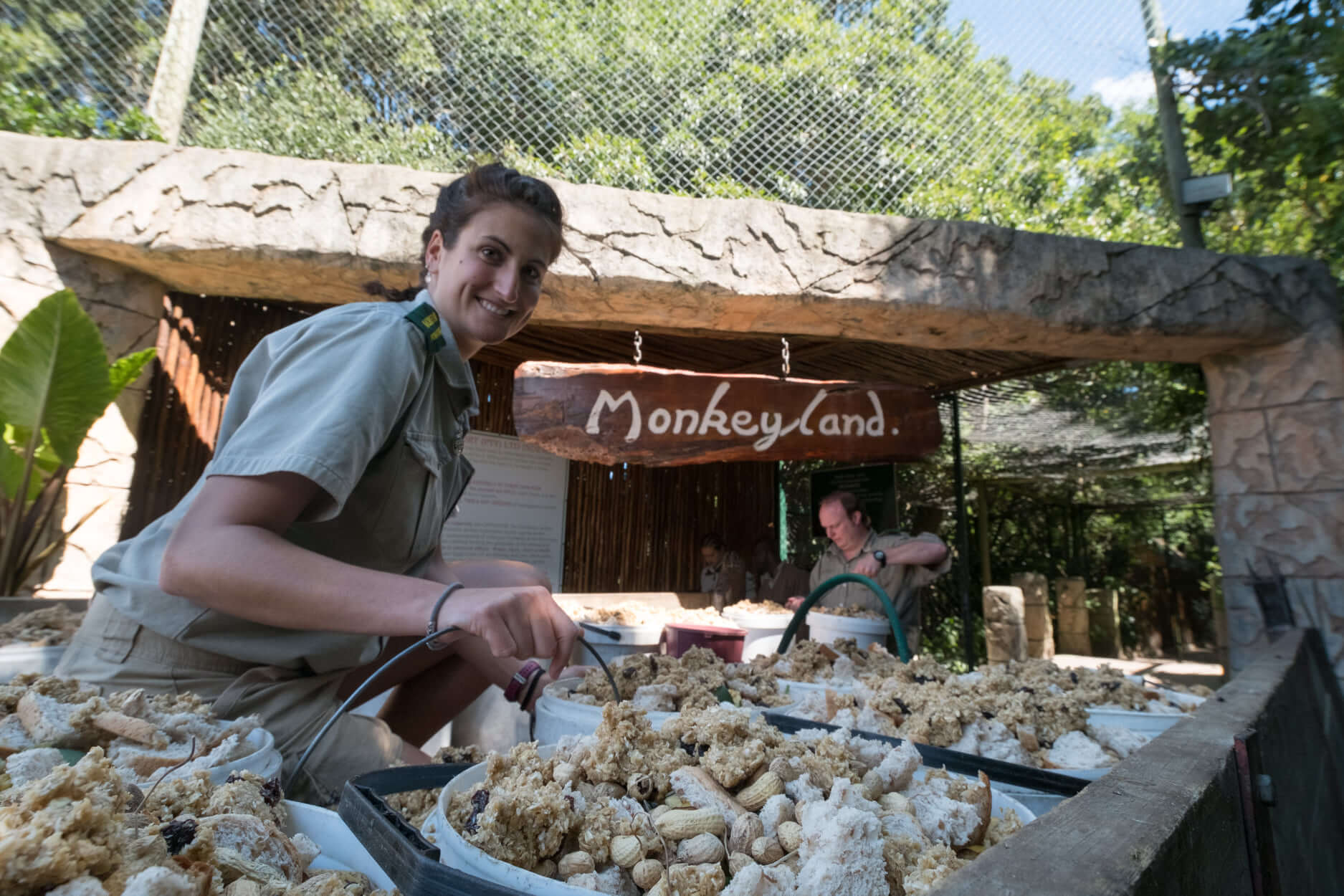 Petition To Stop All Testing On Monkeys